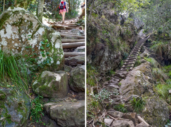 Explore Table Mountain: Hike Skeleton Gorge - Lanalou Style