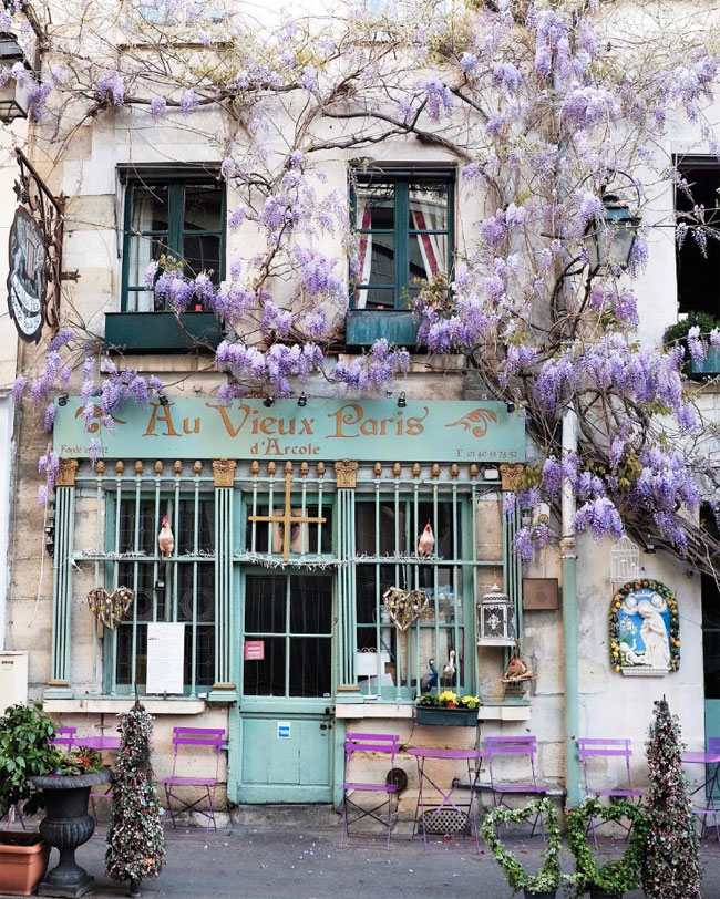Wisteria Hysteria - Lanalou Style