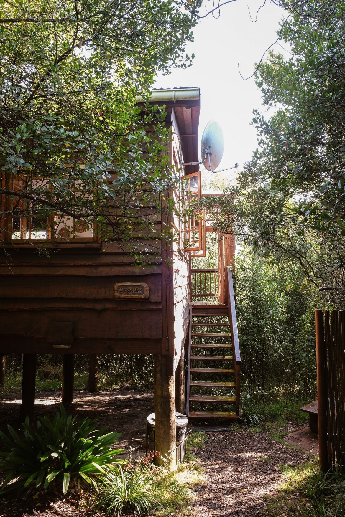Moonshine on Whiskey Creek - forest getaway in The Crags - Lanalou Style